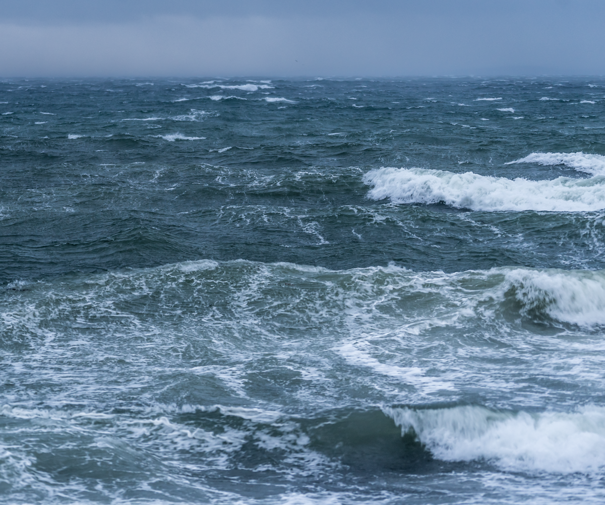 Turmoil - SG Daily Pics